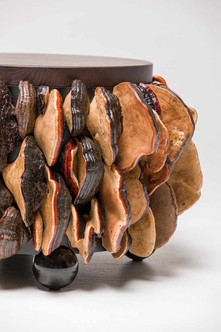 Highend Center Table Mushrooms Collection with Black Tabletop and ...