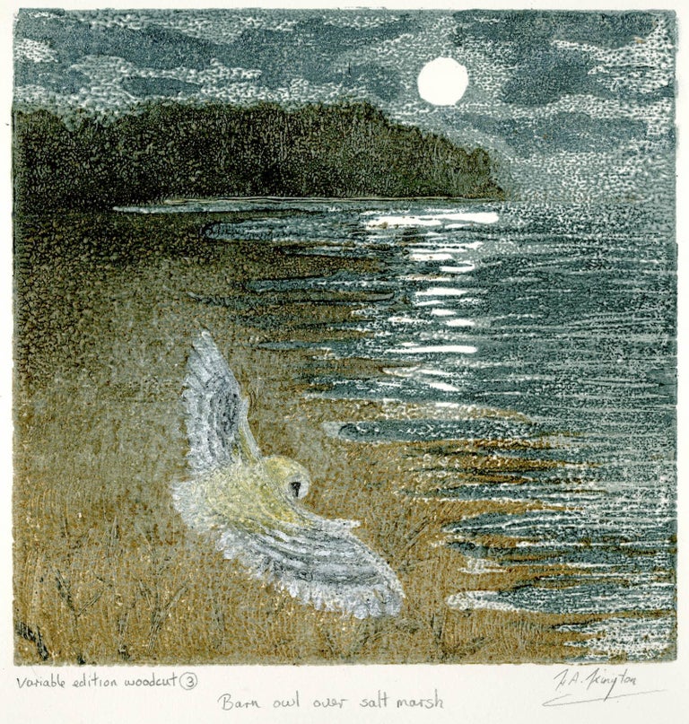 Hilary Kington - Barn Owl over Salt Marsh No. 3, Hilary Kington, Animal ...