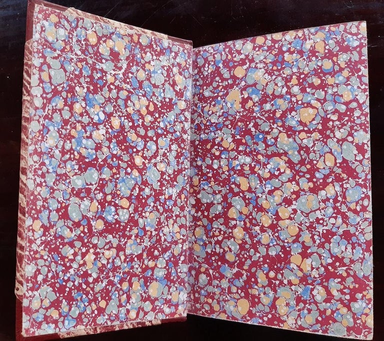 Honoré Daumier - Physiologie du Flaneur - Rare Book Illustrated by ...