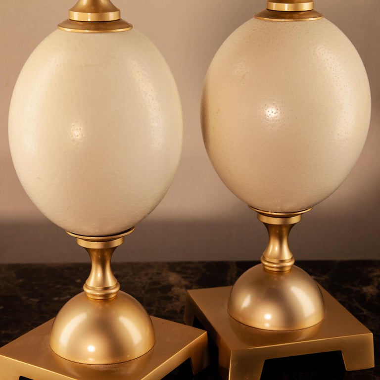 Horn and Ostrich Eggshell Table Top Accessory Polished Solid Brass ...