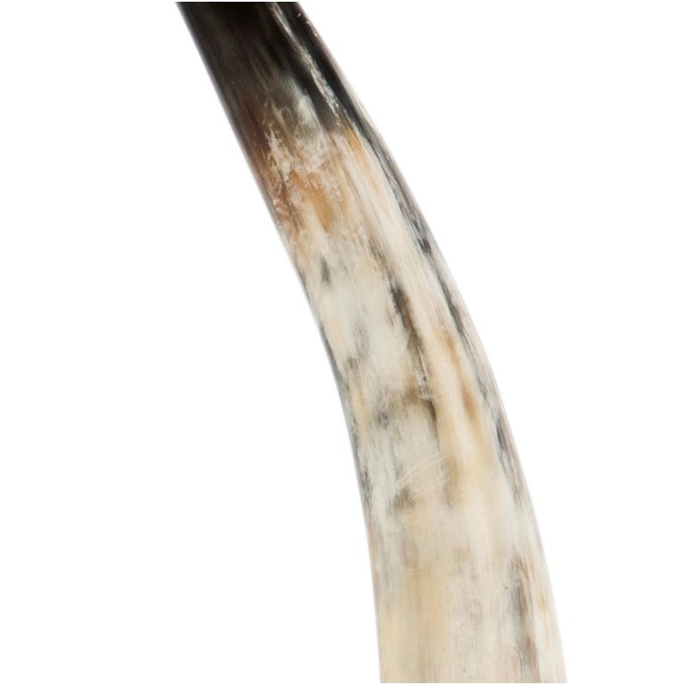 Horn Desk Accessory For Sale at 1stDibs