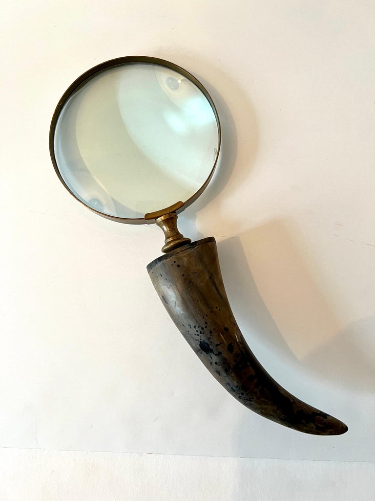 Horn Handle Magnifying Glass with Brass Frame For Sale at 1stDibs