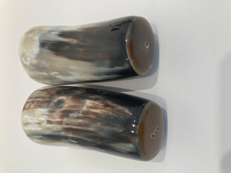 Horn Salt and Pepper Shakers For Sale at 1stDibs