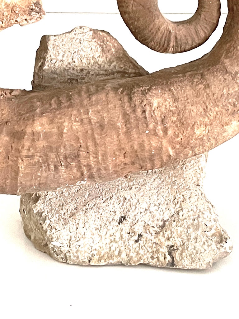 Horn Shaped Ammonite Fossil Sculpture on Stone Stand, Madagascar ...
