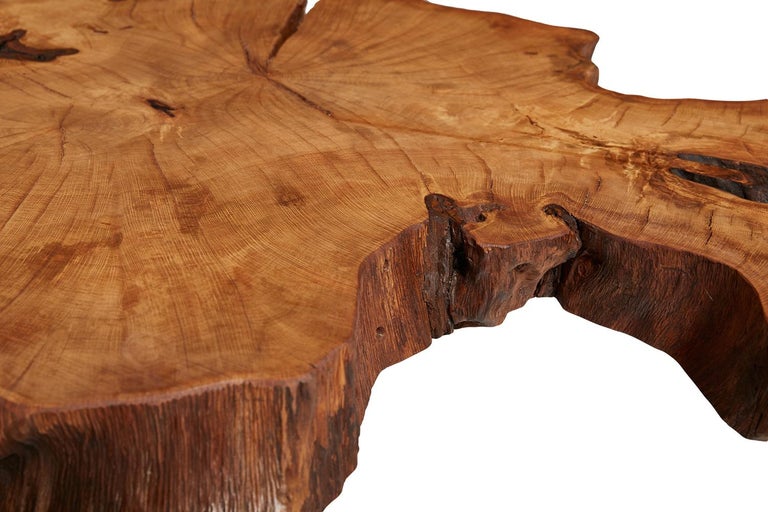 Hornbean Tree Live Edge Coffee Table, Live Edge Table, Rustic Edge End ...