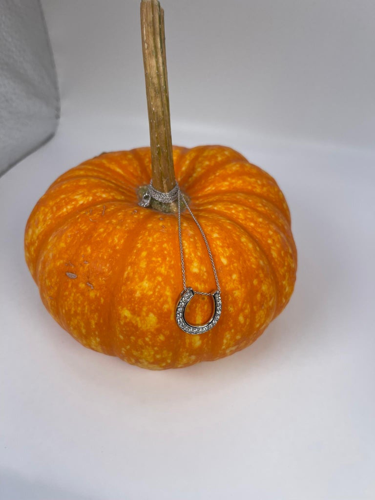 Horseshoe Diamond Pendant Necklace Good Luck Pendant Necklace Horse ...