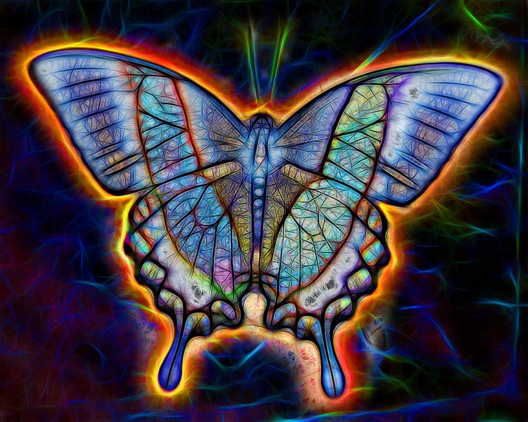 Howard Harris - Butterfly 10x8 For Sale at 1stDibs