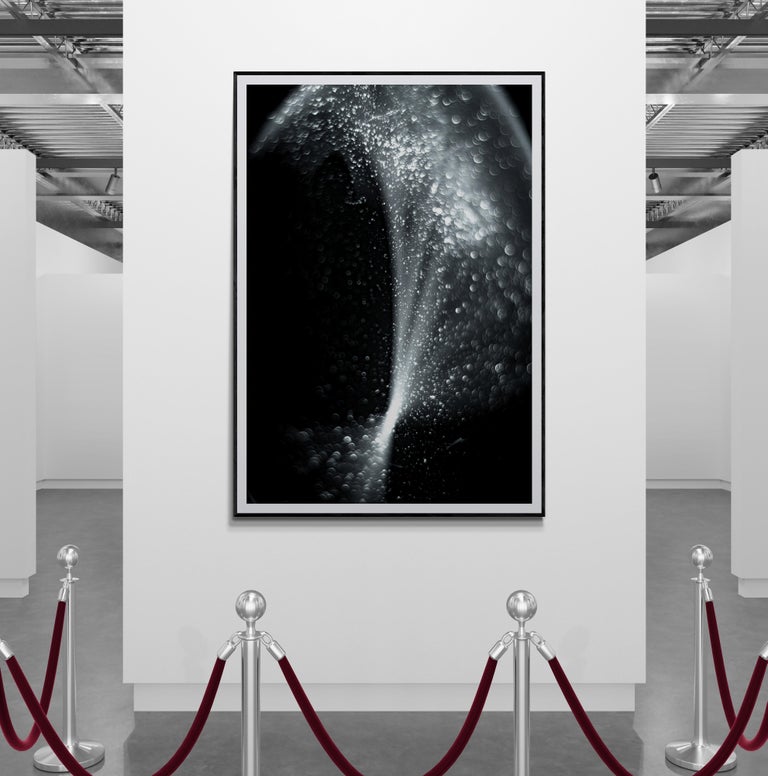 Howard Lewis - Abstract Black and White Photograph - Nature of ...