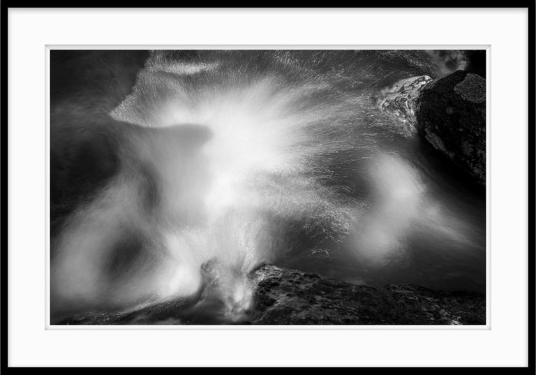 Howard Lewis - Limited Edition Black and White Photograph - Nature and ...