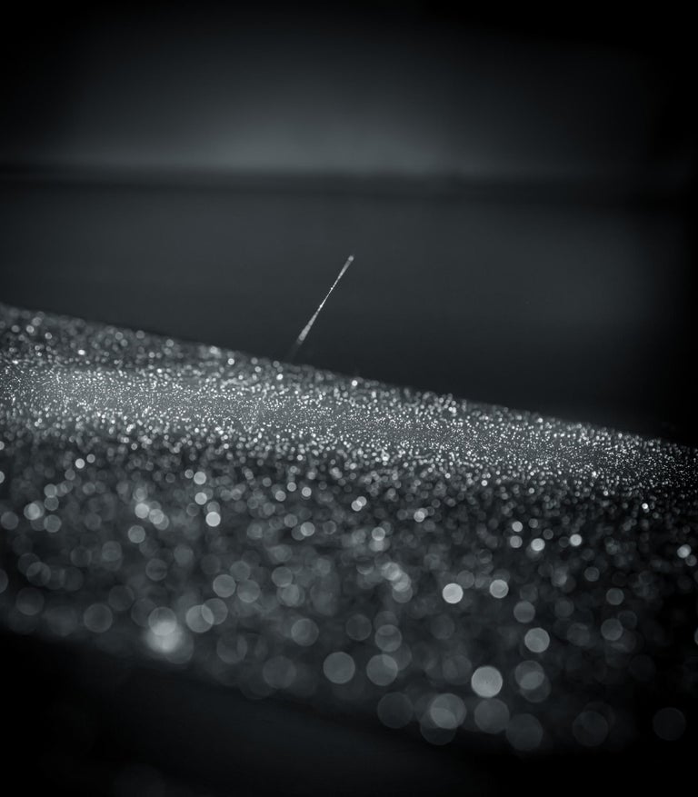 Howard Lewis - Limited Edition Abstract Black/White Photograph - Nature ...