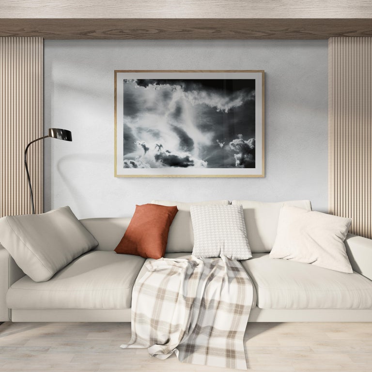 Howard Lewis - Limited Edition Black and White Photograph - " Howling ...