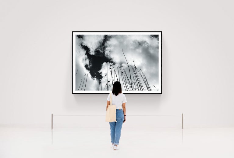 Howard Lewis - Limited Edition Black and White Photograph - " Looking ...