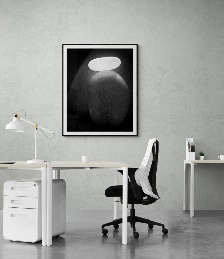 Howard Lewis - Limited Edition Black and White Still Life Photograph ...