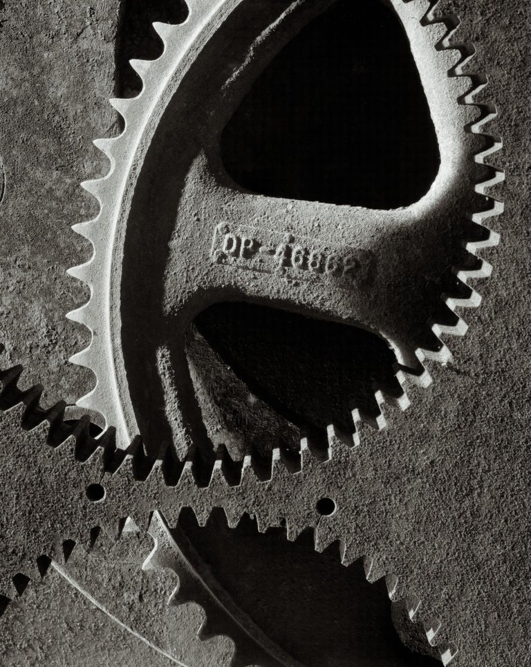 Howard Lewis - Limited Edition Black and White Still Life Photography ...