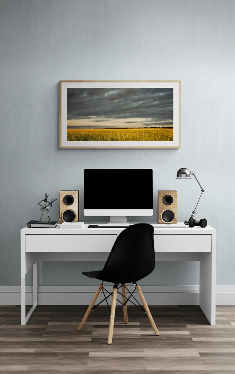 Howard Lewis - Limited Edition Color Photograph - Landscape, Cape Cod ...
