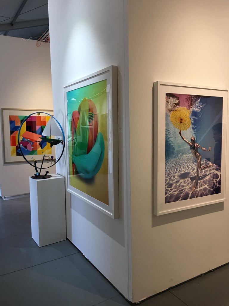 Howard Schatz - Underwater Study 2778 For Sale at 1stDibs