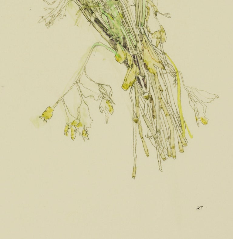 Howard Tangye - Flowers (A Bunch), Mixed media on Pergamenata parchment ...