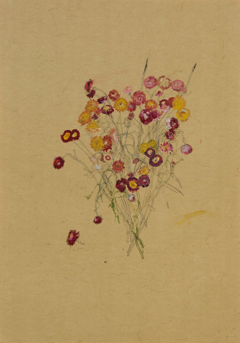 Howard Tangye - Flowers (Helichrysum), Mixed media on ochre parchment ...