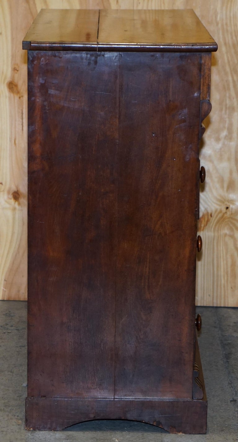 Huge 19th Century Victorian Light Flamed Hardwood Chest of Drawers ...