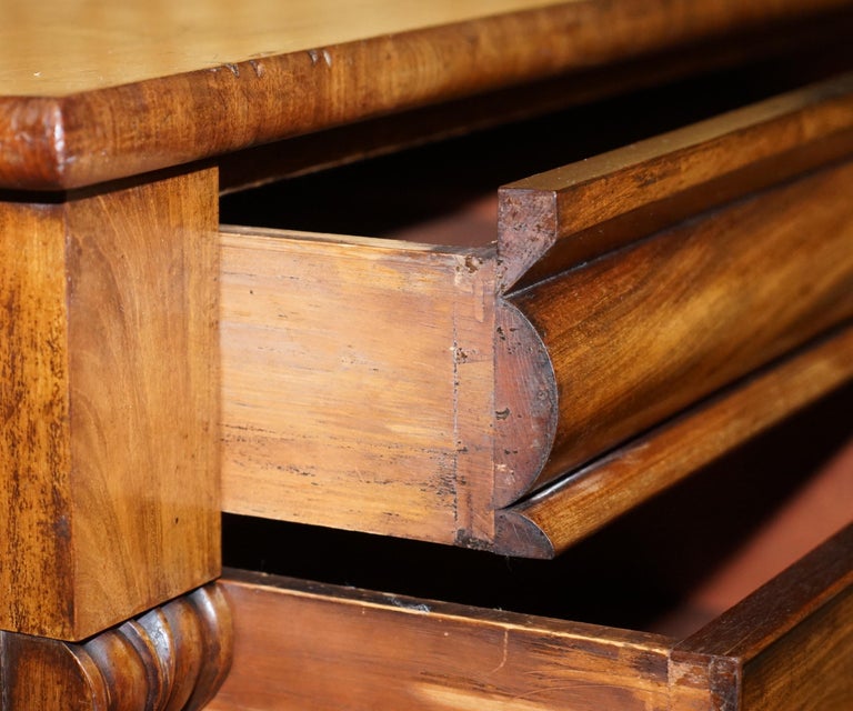 Huge 19th Century Victorian Light Flamed Hardwood Chest of Drawers ...