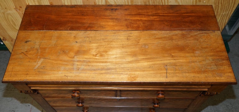 Huge 19th Century Victorian Light Flamed Hardwood Chest of Drawers ...