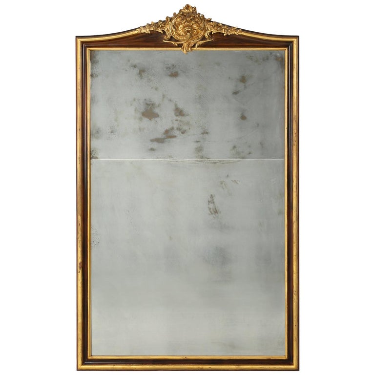 Huge French Rococo Style Mirror of a Grand Scale with Real 24-Karat ...