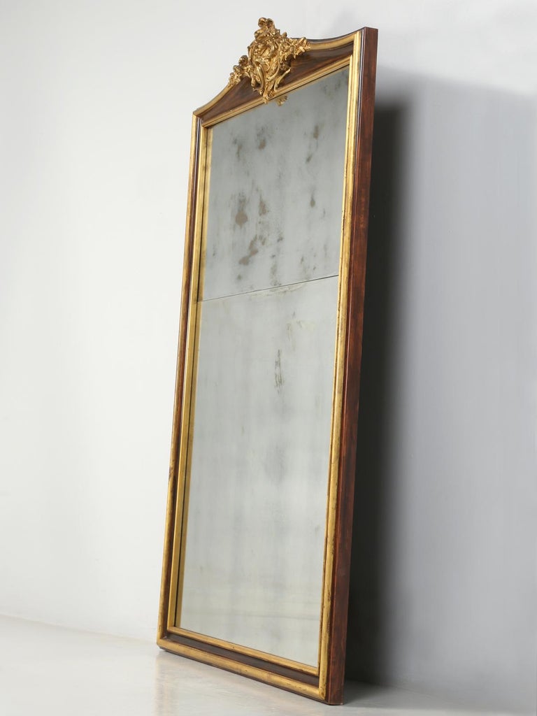 Huge French Rococo Style Mirror of a Grand Scale with Real 24-Karat ...