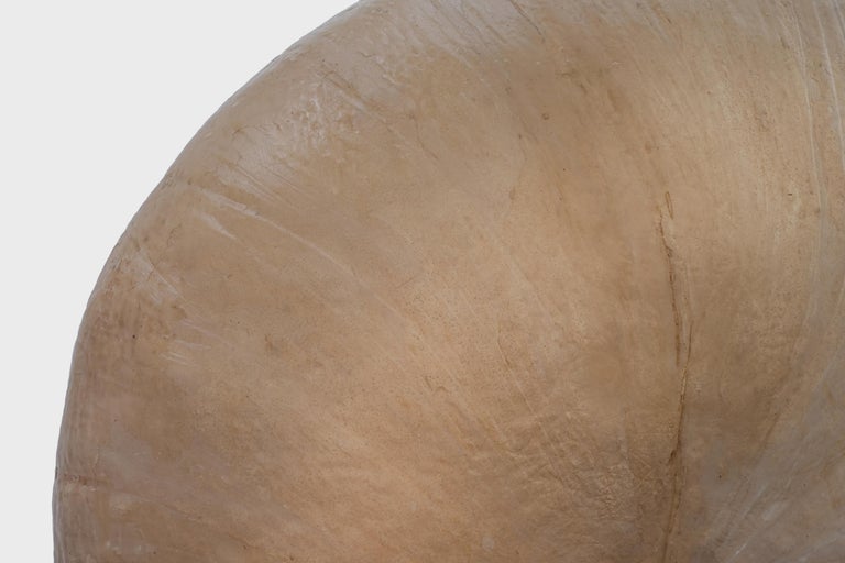 Huge Italian Mid-Century Modern Nautilus Shell Lamp by Aldo Tura at 1stDibs