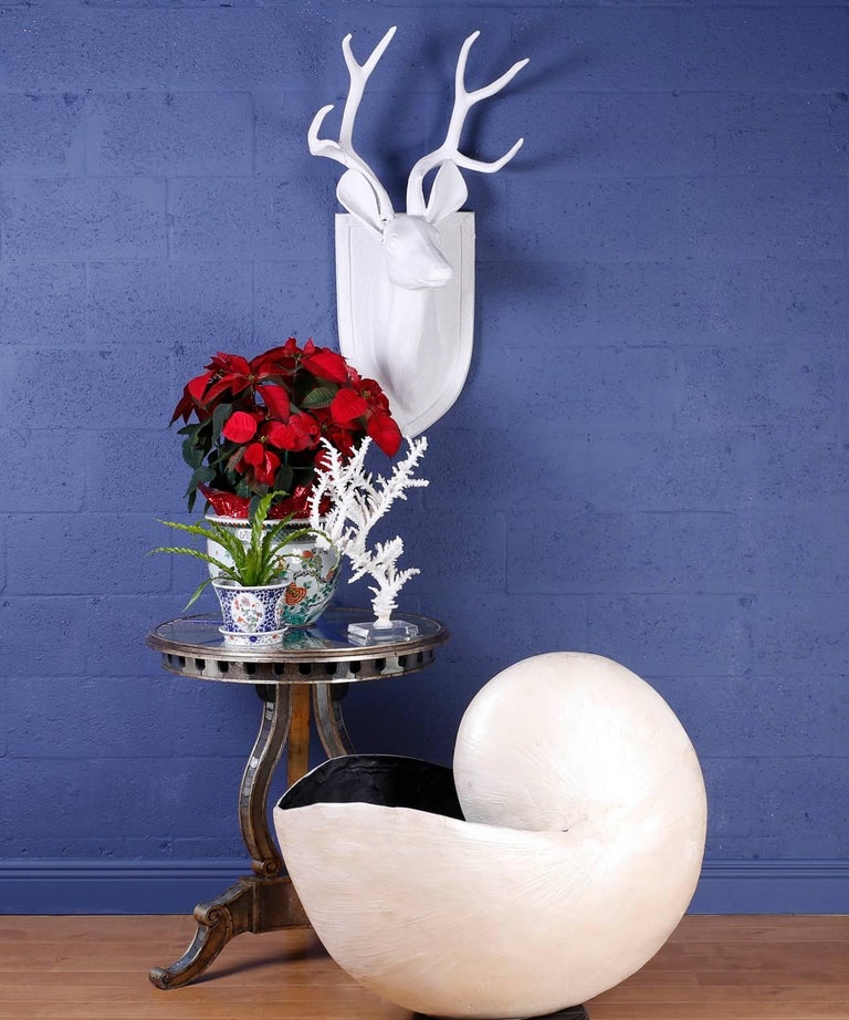 Huge Oversize Custom Fiberglass Nautilus Shell For Sale at 1stDibs ...