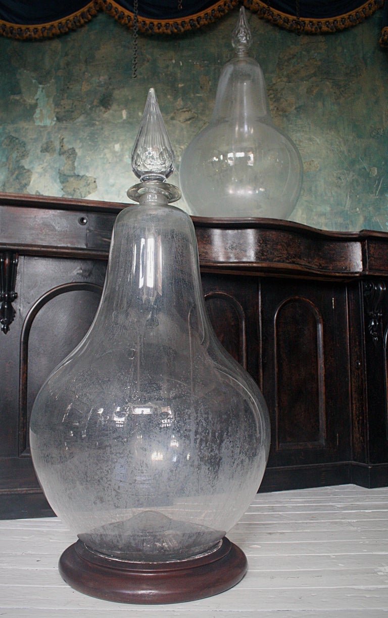Huge Pair of Glass Chemist Display Carboys Trade Sign Apothecary ...