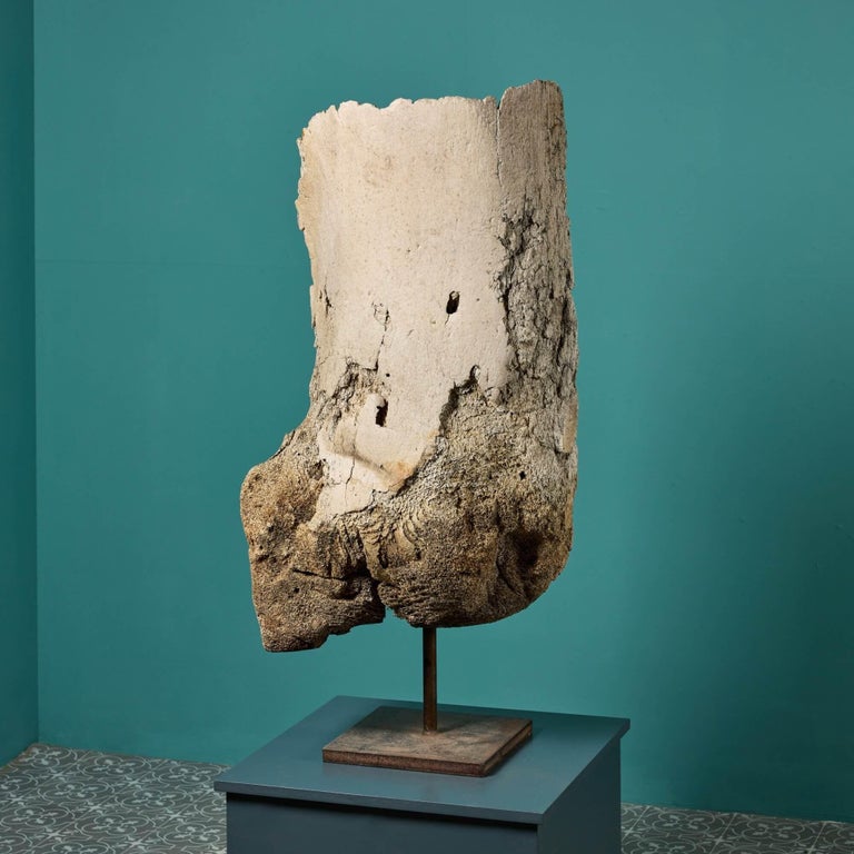 Huge Prehistoric Fossilised Whale Bone For Sale at 1stDibs