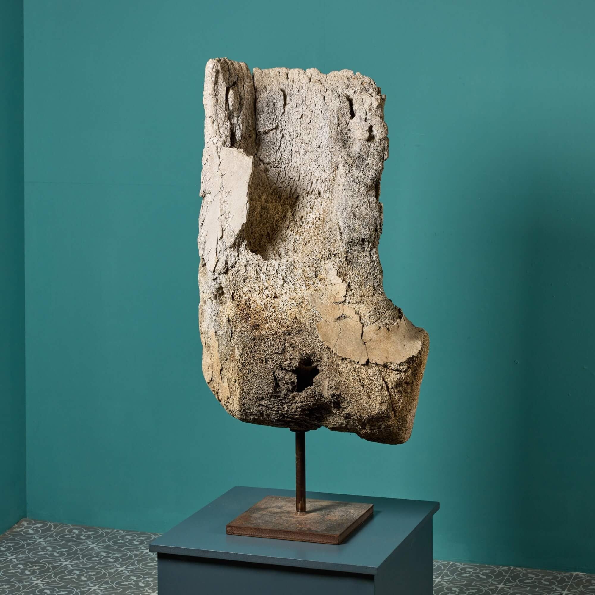Huge Prehistoric Fossilised Whale Bone For Sale at 1stDibs