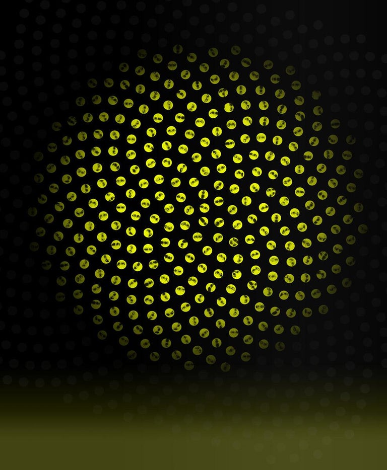 Hugh Turvey - Beauty in Numbers - X-Ray of Honey Bees / Fibonacci ...