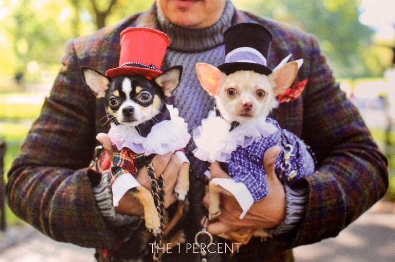 Humans of New York by Brandon Stanton, Stated First Edition at 1stDibs