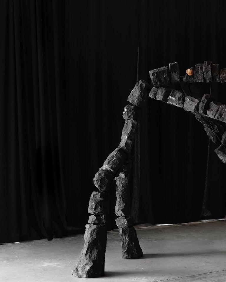 Hyphae, Mycelium Rock Macro Installation by Andres Monnier For Sale at ...