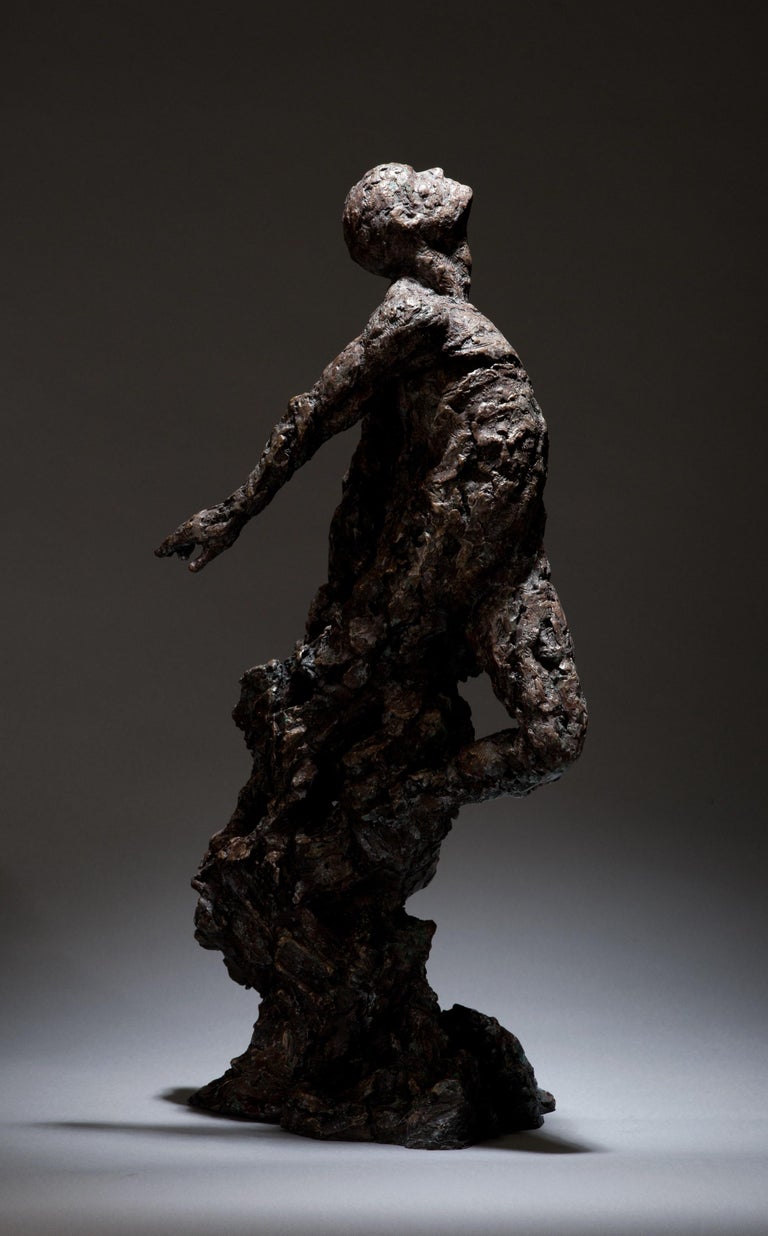 Ian Edwards - Transfiguration - original rustic Figurative bronze ...