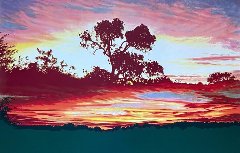 Ian Hornak - Transparent Barricades For Sale at 1stDibs