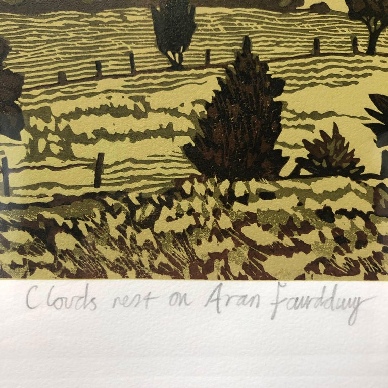Ian Phillips - Clouds Rest on Aran Fawddwy For Sale at 1stDibs
