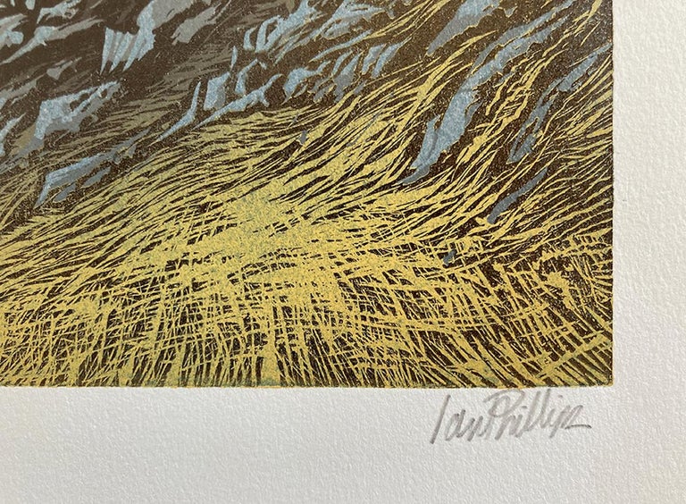 Ian Phillips - Sundown, Ian Phillips, Limited edition Print for sale ...