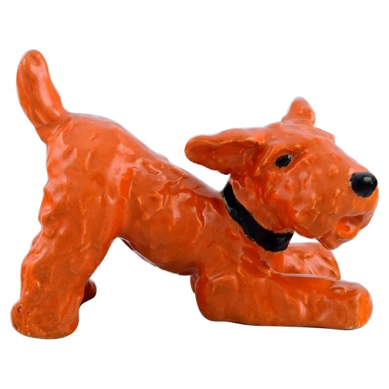 Ida Meisinger for Goldscheider, Playful Terrier in Glazed Ceramics at ...