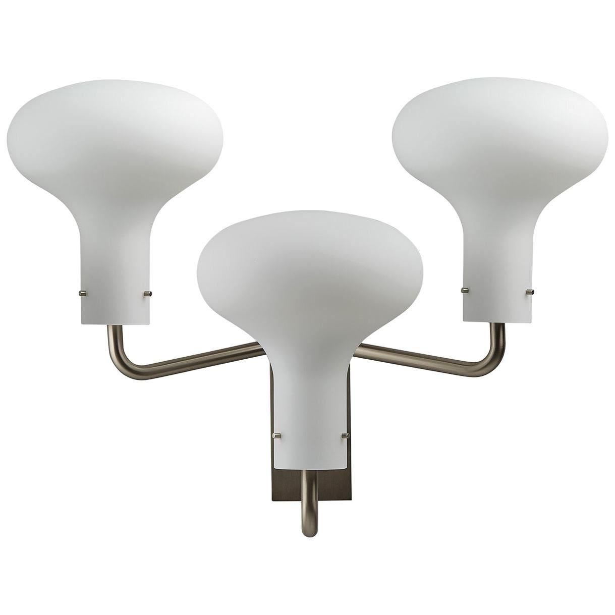 Ignazio Gardella 1955, Applique Mod. LP7 at 1stDibs