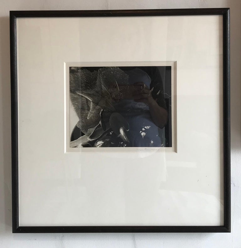 Imogen Cunningham - Shells Vintage Unique Photograph Signed Silver ...