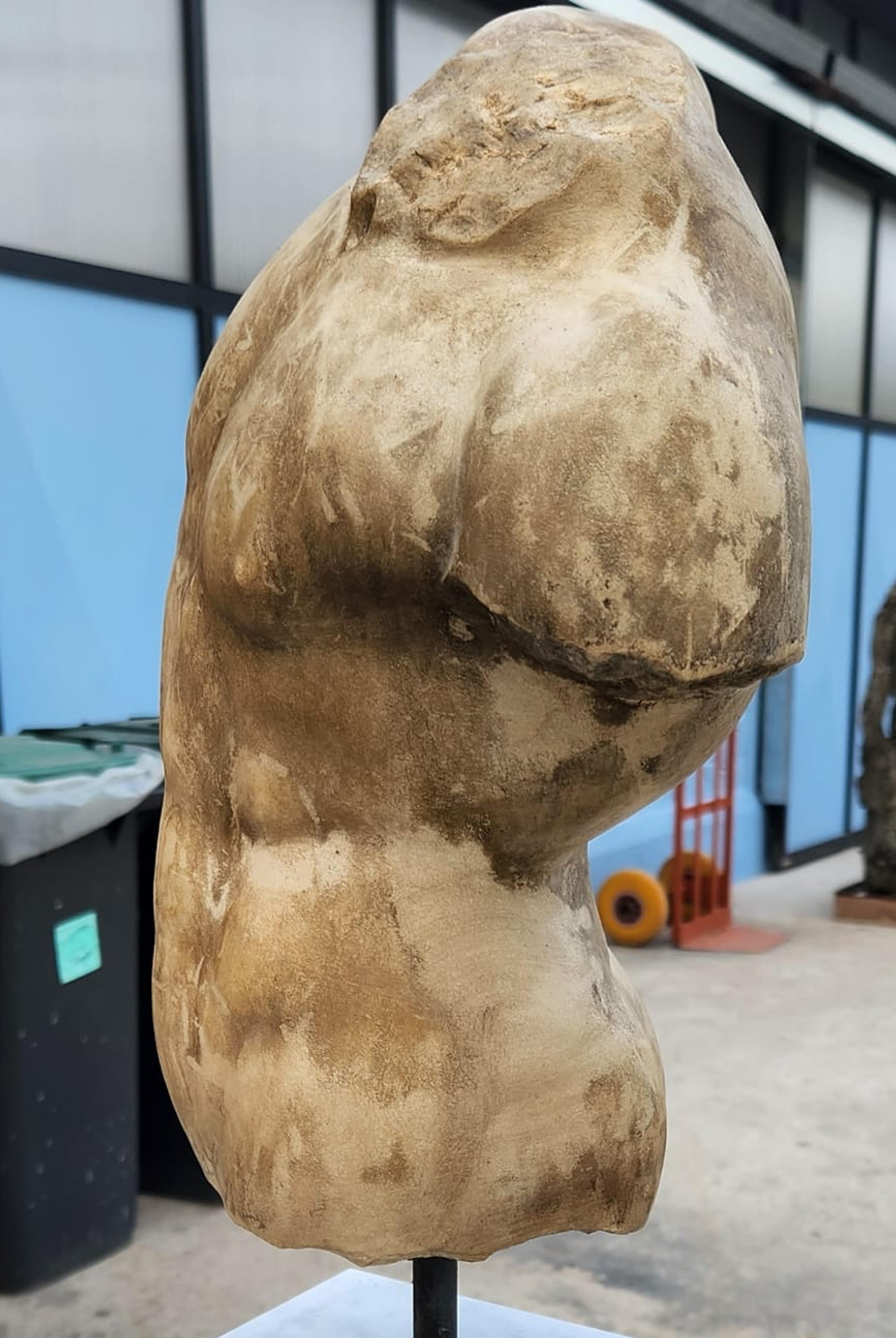 Important Roman "Torso" in Carrara marble late 19th early 20th Century ...