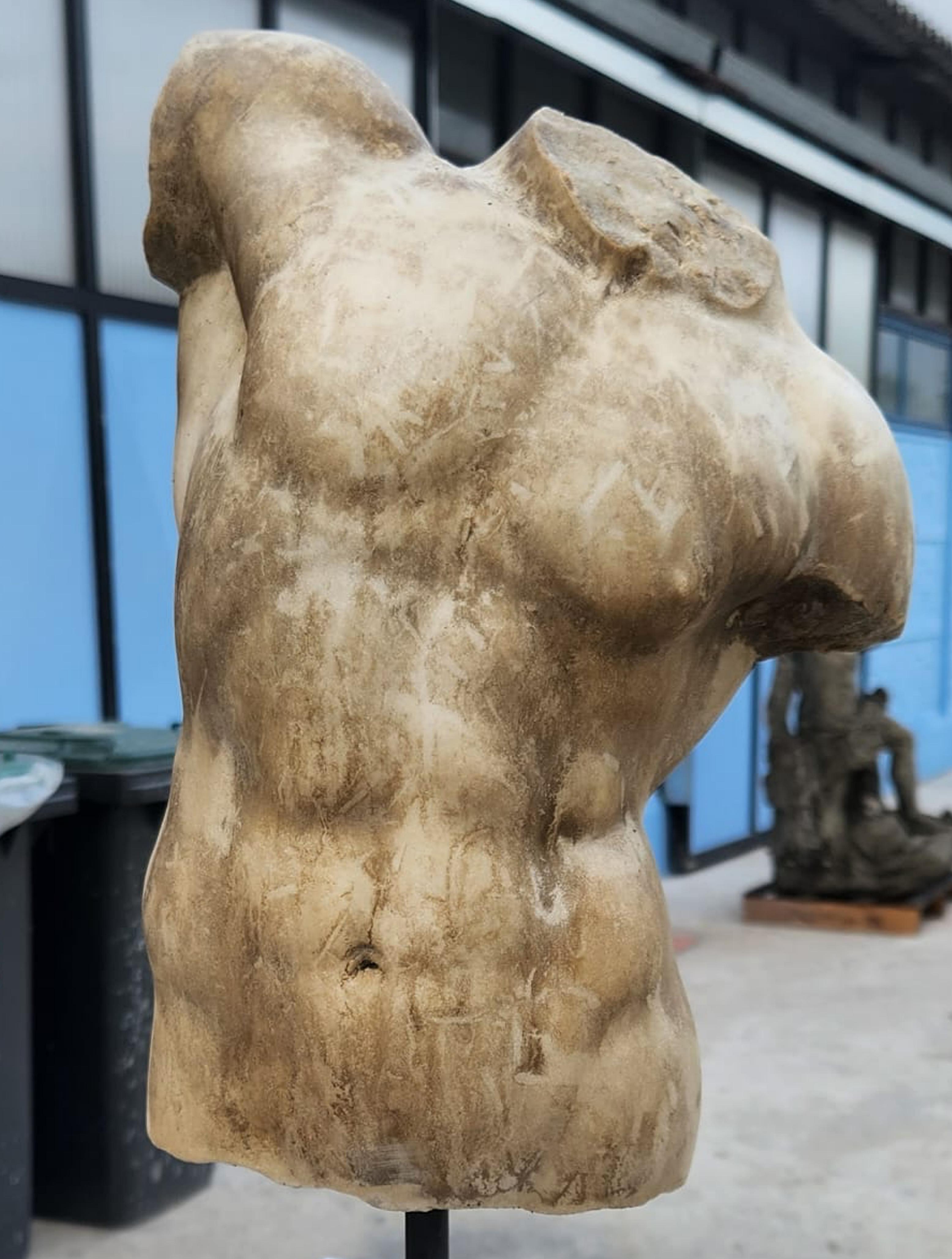 Important Roman "Torso" in Carrara marble late 19th early 20th Century ...