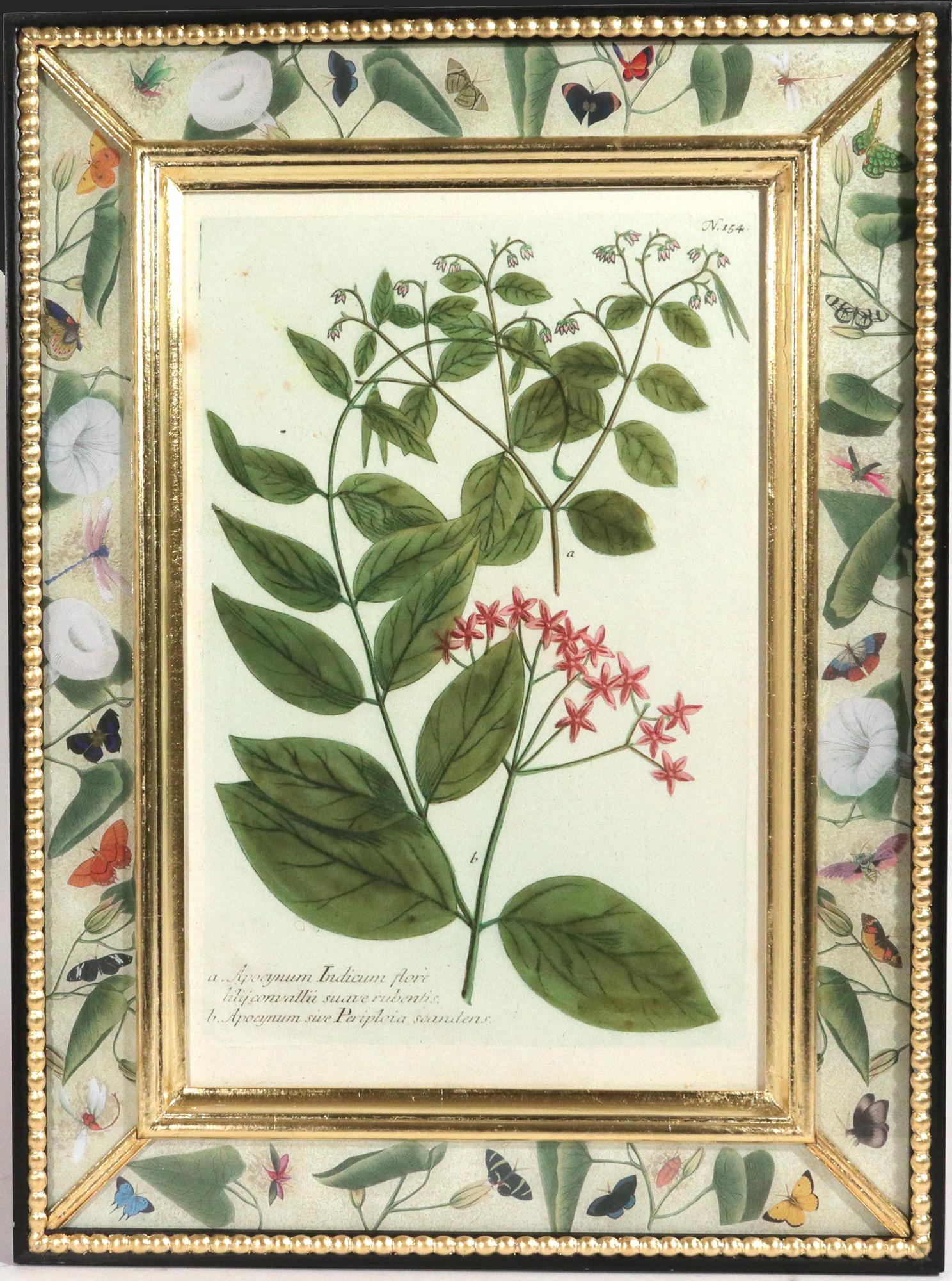 Important Spectacular Set of Twelve 18th-century Weinmann Botanical ...