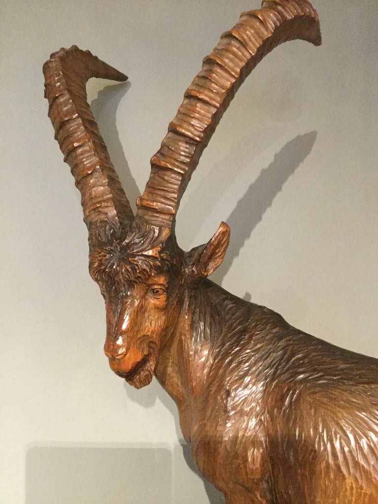 Impressive 19th Century Black Forest Wood Carving of an Ibex For Sale ...