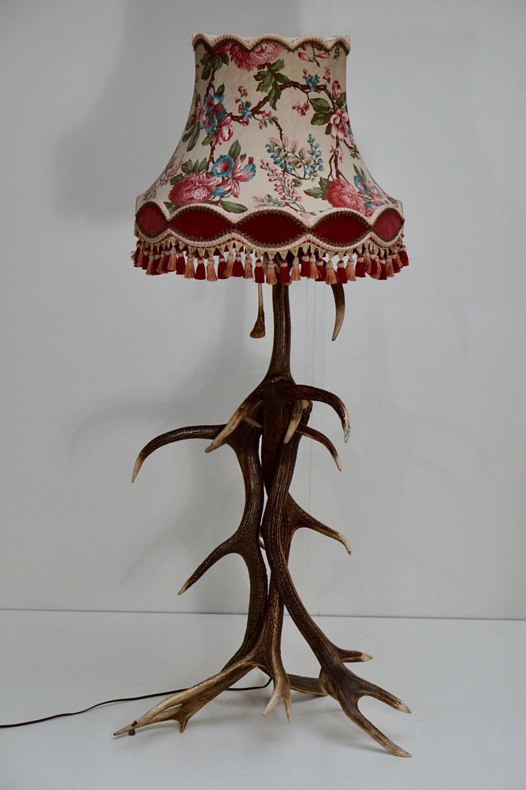 Impressive Rustic Deer Antler Floor Lamp, 1950s, Austria For Sale at ...