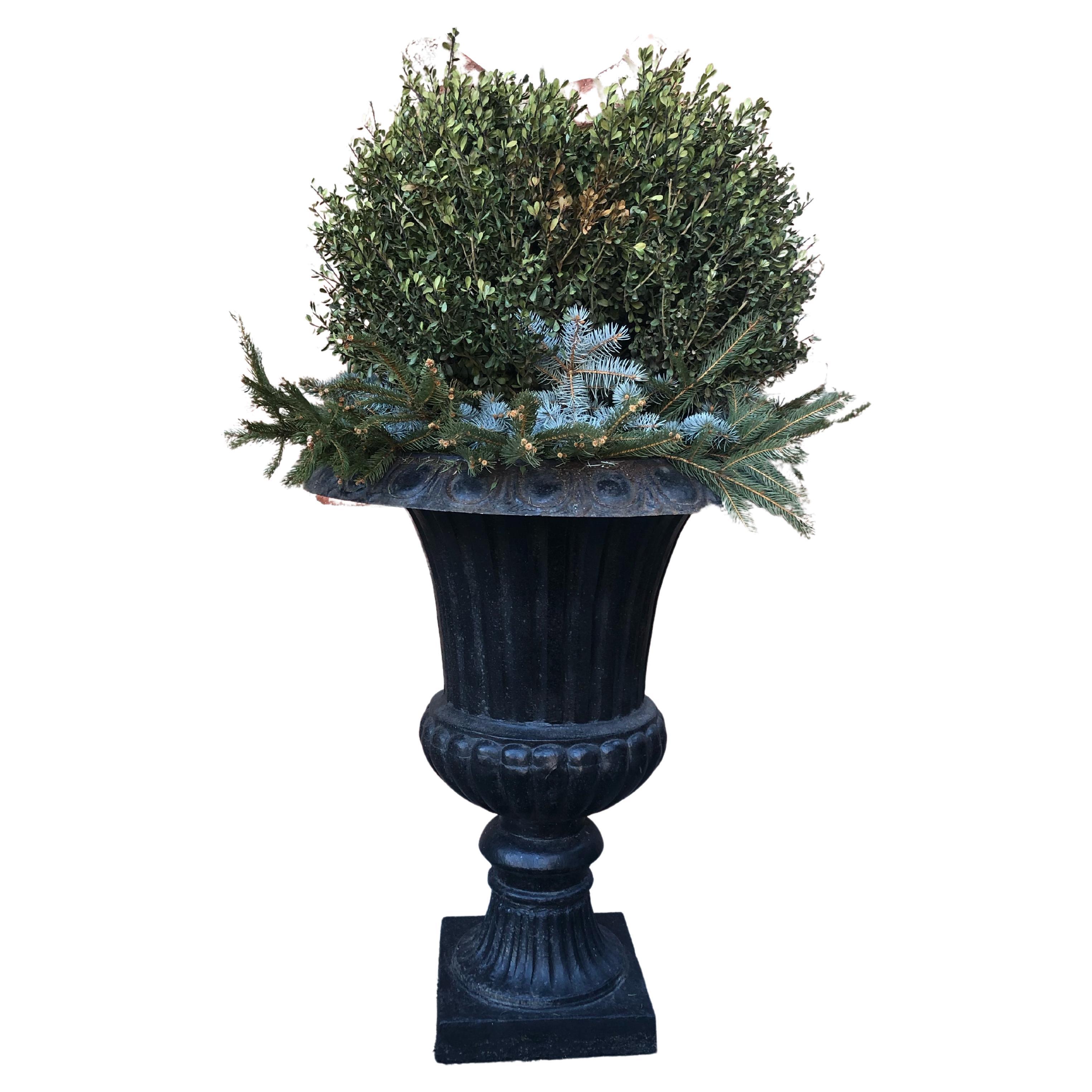 Pair of Classic Cast Stone Garden Urns with Acanthus Leaf Scrollwork ...
