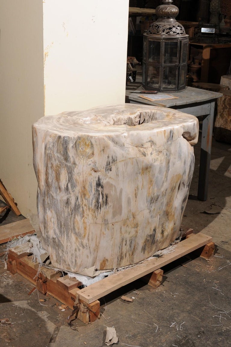 A Large-Sized Petrified Wood Pedestal Base, Beautiful Base for Glass ...