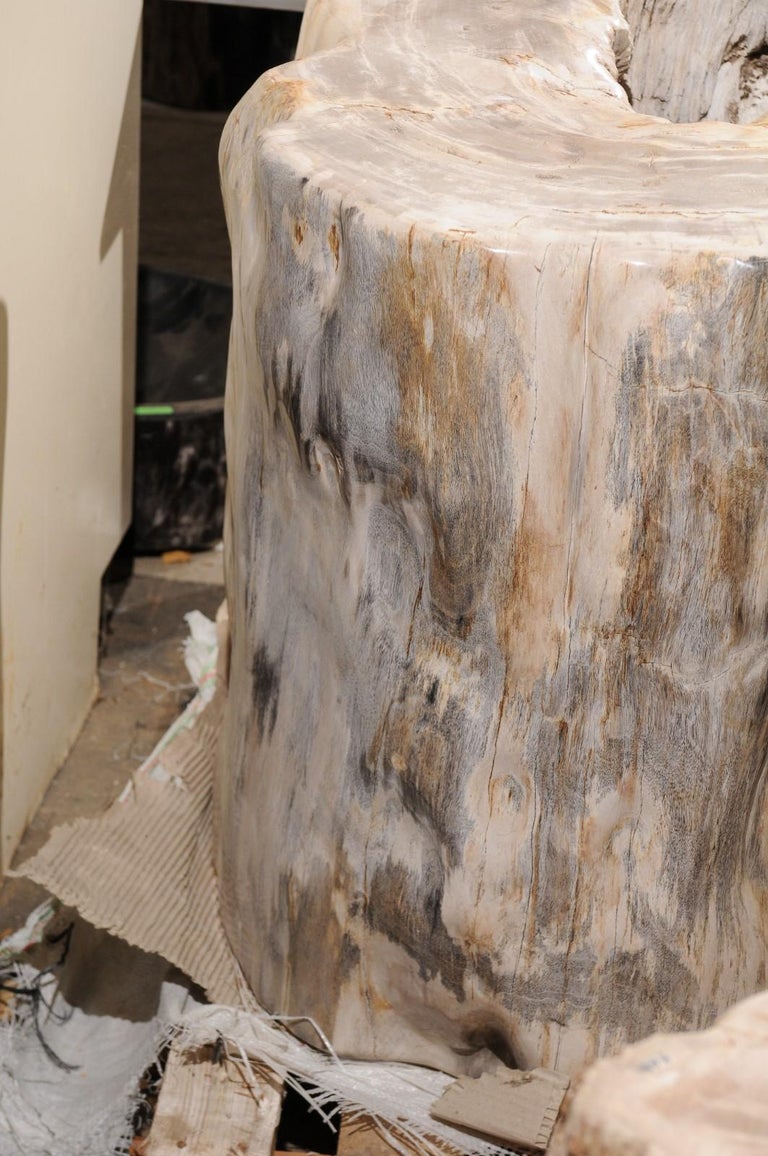 A Large-Sized Petrified Wood Pedestal Base, Beautiful Base for Glass ...